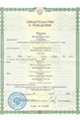 Ukrainian/Russian Birth Certificate translation services (certified)